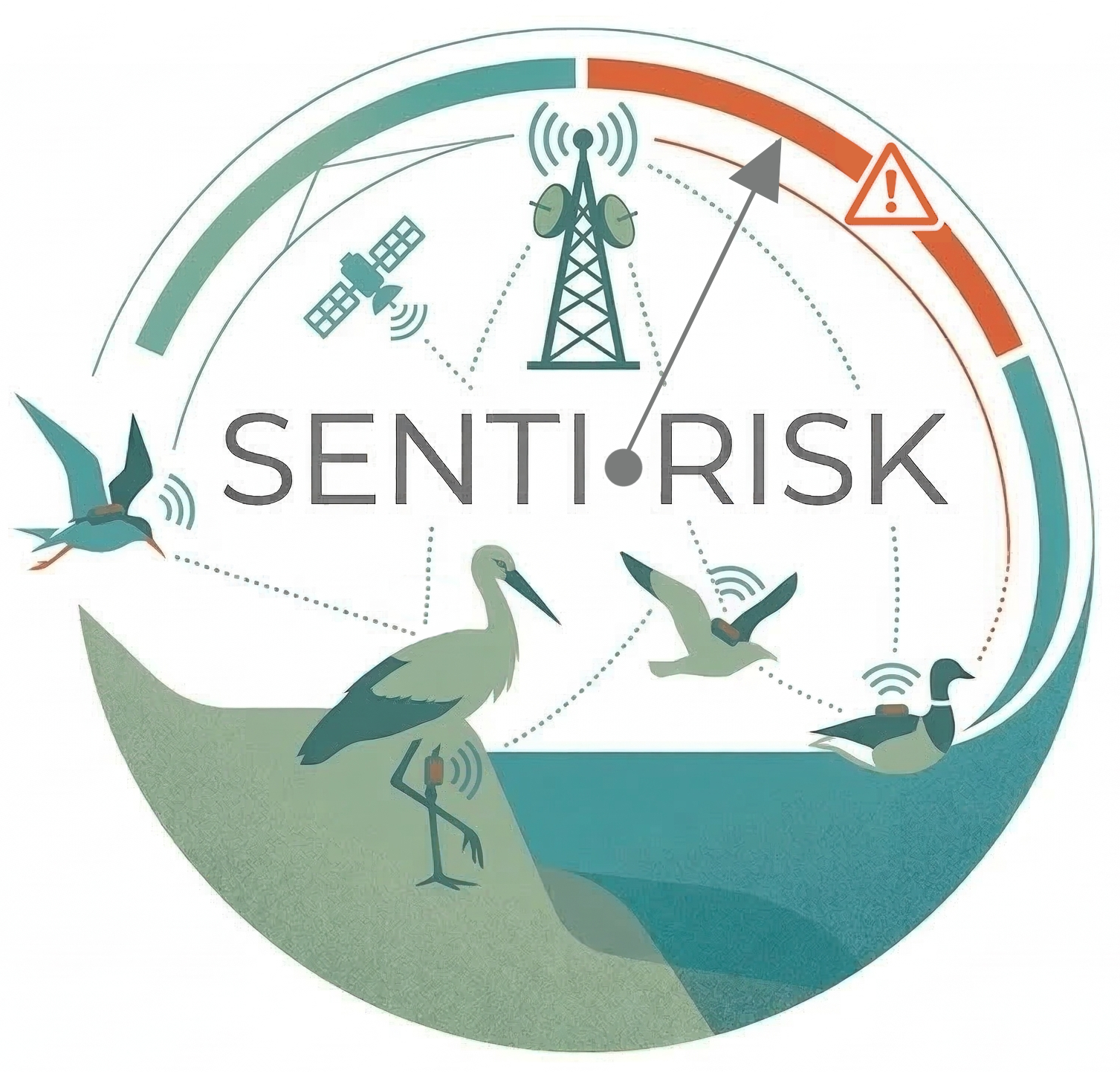 Sentinel Birds of Coastal Risks - SENTI•RISK (EN)